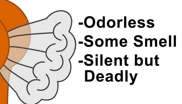 Why some farts smell more | Encomium Magazine